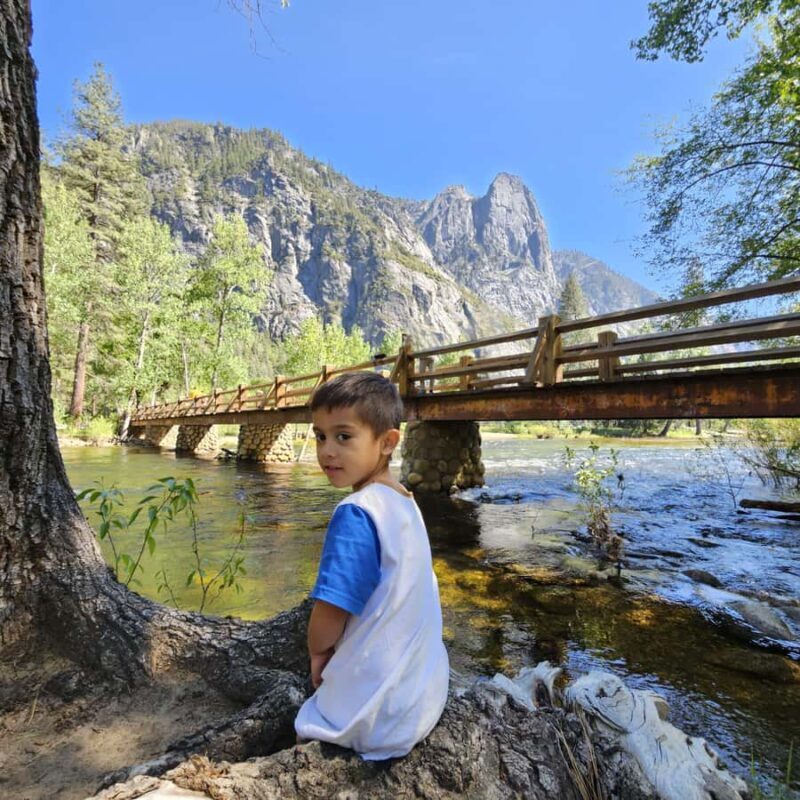 From San Francisco: Yosemite National Park Guided Day Trip - Authentic Experiences & Real Traveler Insights