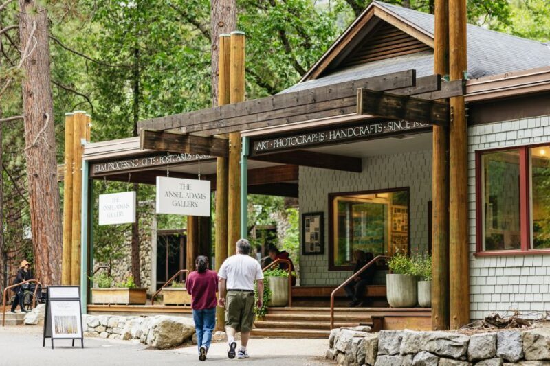 From San Francisco: Yosemite National Park Guided Day Trip - An Honest Look at the Yosemite Day Trip