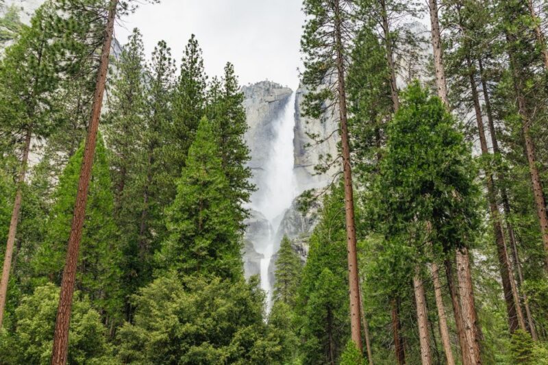 From San Francisco: Yosemite National Park Guided Day Trip - Final Thoughts