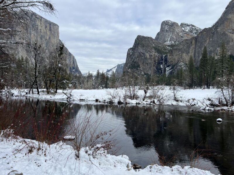 From San Francisco: Yosemite Private Full-Day Trip - Authentic Experiences and Insights from Travelers