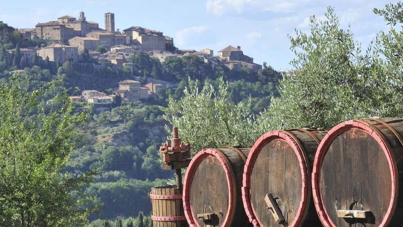 From San Gimignano: Brunello Wine Tour - Authenticity and Value