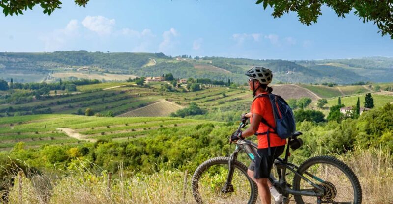 From San Gimignano to Siena E-BIKE tour+Transfer service - FAQ