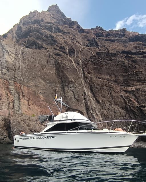 From San Juan beach : Marine Life Cruise - Value and Pricing