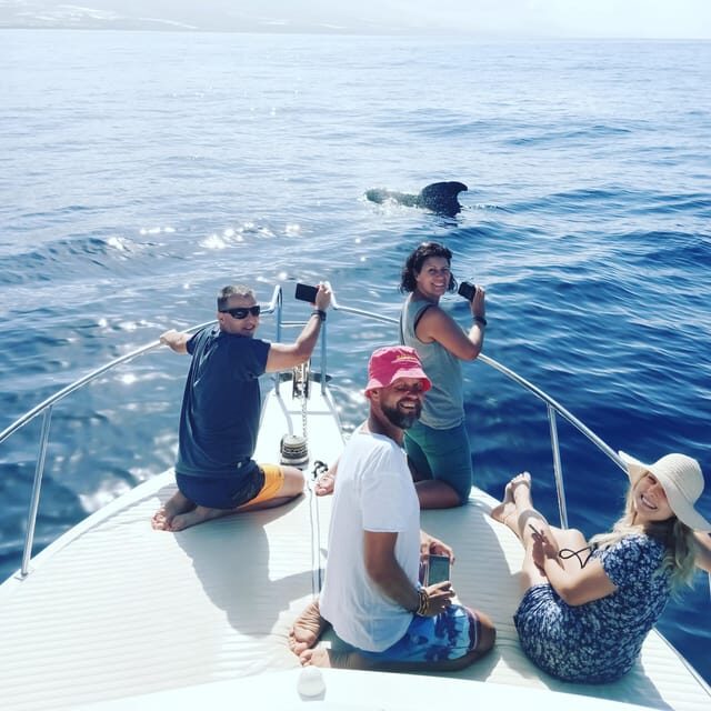 From San Juan beach : Marine Life Cruise - Who Will Love This Tour?