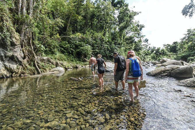 From San Juan: El Yunque Rainforest Hiking Adventure - The Real Value: Why This Tour Stands Out