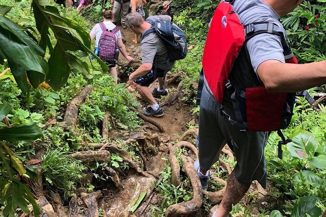 From San Juan: El Yunque Rainforest Hiking Adventure - FAQ: Your Questions Answered