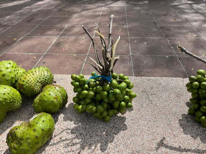 From San Juan: Full-Day Cultural Road Trip to Ponce - Optional Stops and Customization