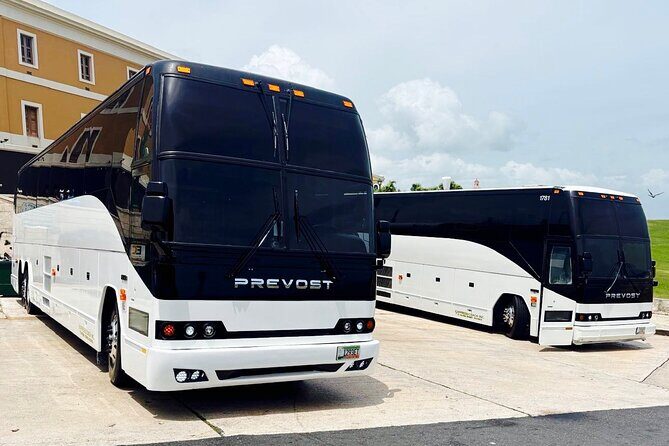 From San Juan: Roundtrip Shuttle to Bad Bunny Concert - Introduction