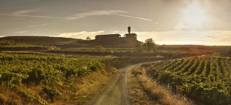 From San Sebastian/Bilbao/Vitoria: La Rioja Wineries Tour - Price and Value: Is It Worth It?