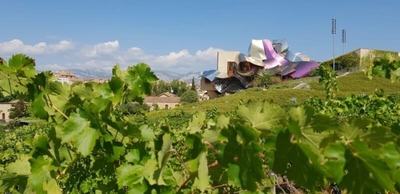 From San Sebastian/Bilbao/Vitoria: Rioja Wine Tour w/ Lunch - Key Points