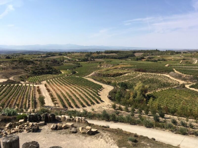 From San Sebastian/Bilbao/Vitoria: Rioja Wine Tour w/ Lunch - Who Will Love This Tour?