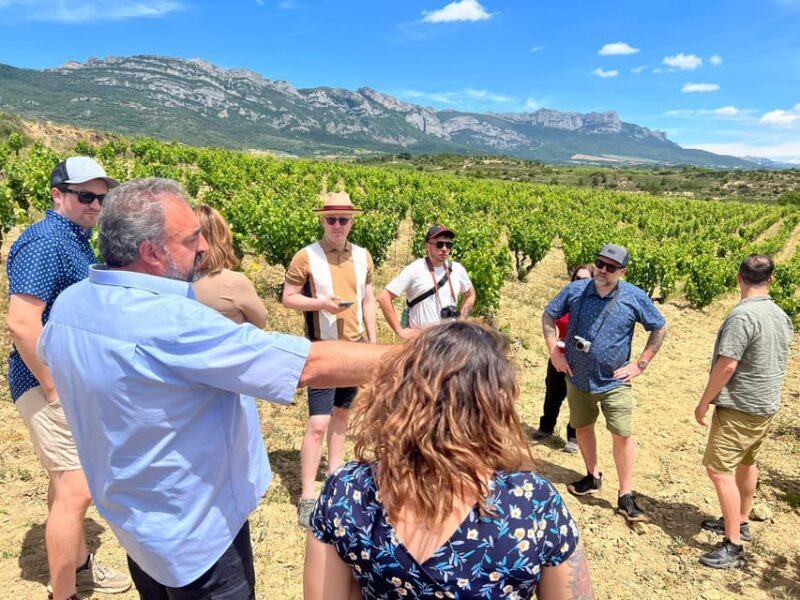 From San Sebastian/Bilbao/Vitoria: Rioja Wine Tour w/ Lunch - FAQs
