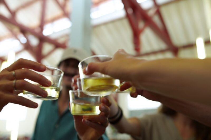 From San Sebastian: Flavors of French Basque Country Tour - An In-Depth Look at the Tour Experience