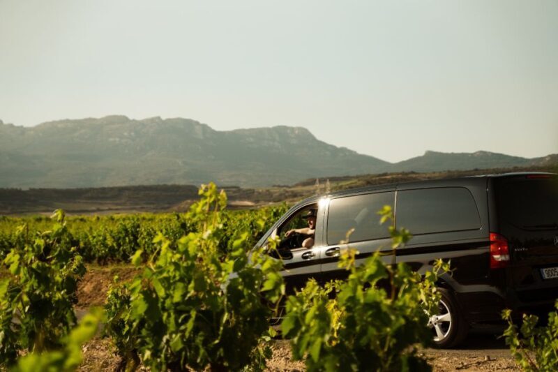 From San Sebastián: La Rioja Wine Region Day Tour - An In-Depth Look at the La Rioja Day Tour