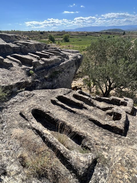 From San Sebastian: Rioja Private Day Trip with Wine Tasting - Who Will Love This Tour?