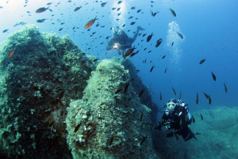From San Teodoro: diving for experts in Tavolara and Molara - Key Points