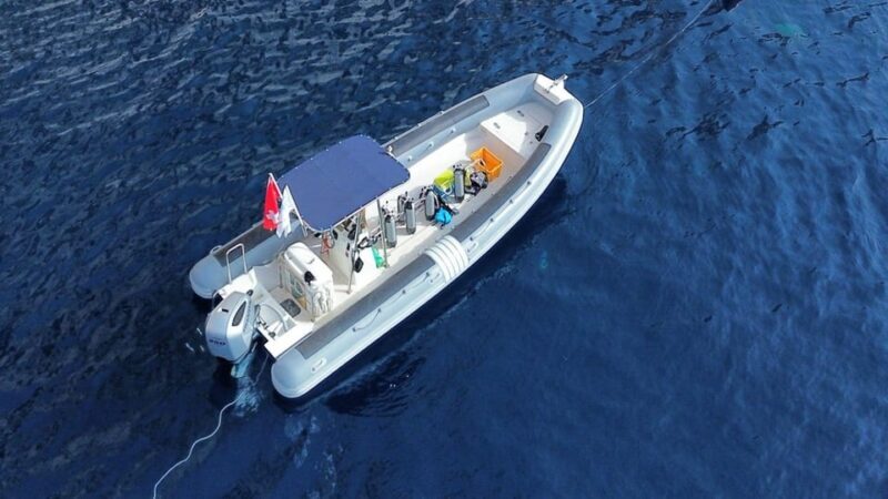 From San Teodoro: snorkeling in Tavolara and Molara - FAQ