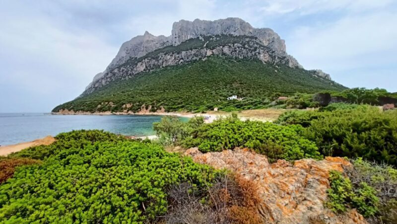 From San Teodoro: Tavolara Archipelago Dinghy Mini Tour - An In-Depth Look at the Tavolara Archipelago Dinghy Tour