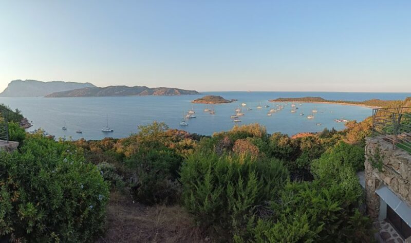 From San Teodoro: Tavolara Archipelago Mini Tour - Key Points