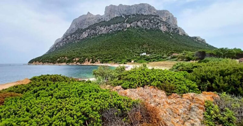 From San Teodoro: Tavolara Archipelago Mini Tour - Detailed Review of the Tavolara Archipelago Mini Tour