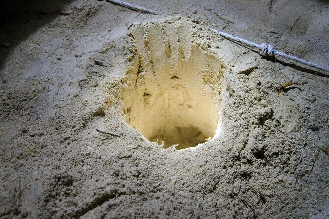 From Sandakan 2D1N Turtle Island Tour - The Sum Up