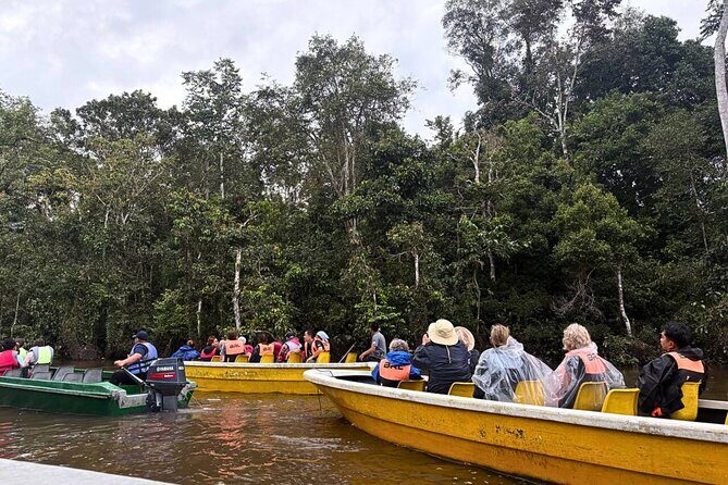 From Sandakan to Kinabatangan River Safari Boat Cruise Day Tour - Introduction