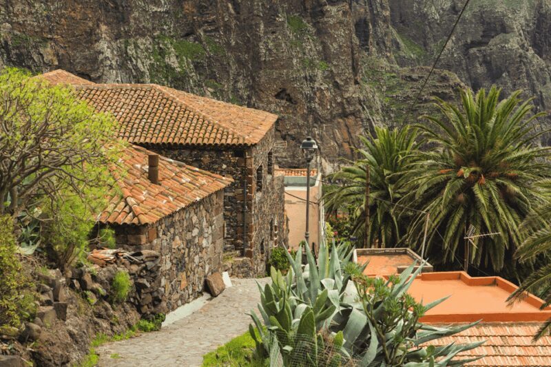 From Santa Cruz de Tenerife: Masca & Garachico Private Trip - Who Will Love This Tour?