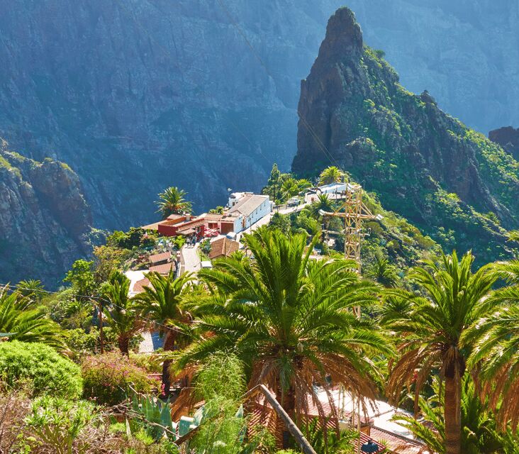 From Santa Cruz de Tenerife: Masca & Garachico Private Trip - FAQ