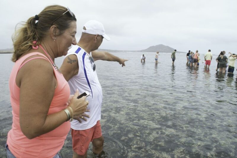 From Santa Maria: Guided Lemon Shark Watching - An Honest Look at the Lemon Shark Tour