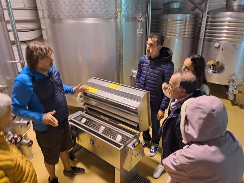 From Santander: Gastronomic Tour - Who Will Love This Tour?