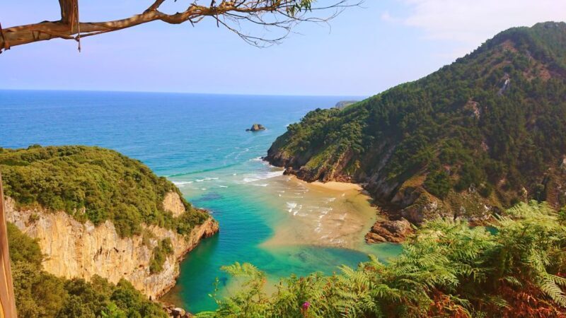 From Santander or Torrelavega: Soplao Cave Excursion - What’s Included and What’s Not