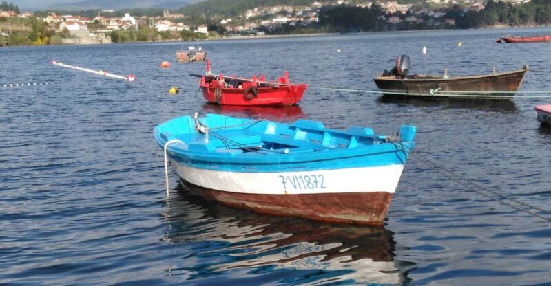 From Santiago de Compostela: Rias Baixas Tour - Key Points