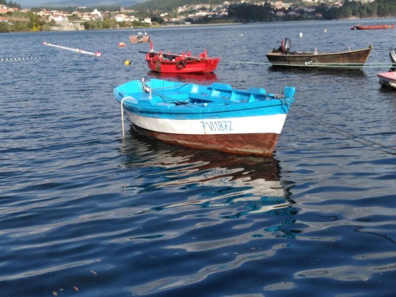 From Santiago de Compostela: Rias Baixas Tour - Authentic Experiences and Honest Feedback