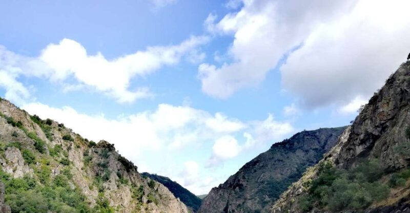 From Santiago: Excursion to Ribeira Sacra and Ourense - Who Should Consider This Tour?