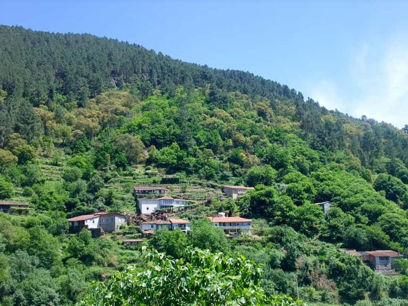 From Santiago: Ribeira Sacra & Sil River Canyon Boat Tour - Practical Details and What You Can Expect