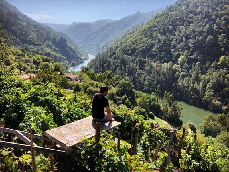 From Santiago: Ribeira Sacra Tour & Boat Trip - Miradoiro Canón del Sil: Breathtaking Overlook (20 Minutes)