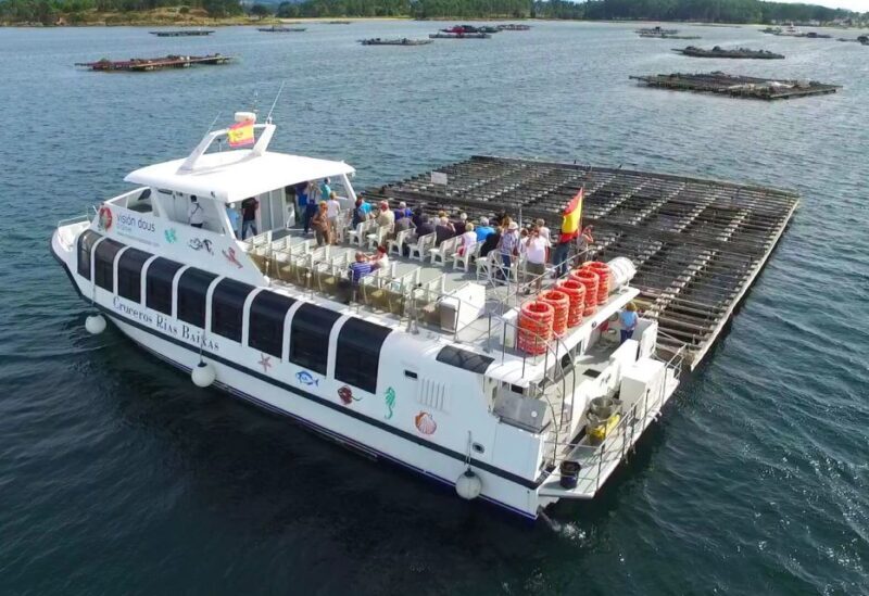 From Santiago: Tour to Rias Baixas with Boat Trip and Winery - Exploring Galicia’s Rias Baixas: What You’ll See and Do