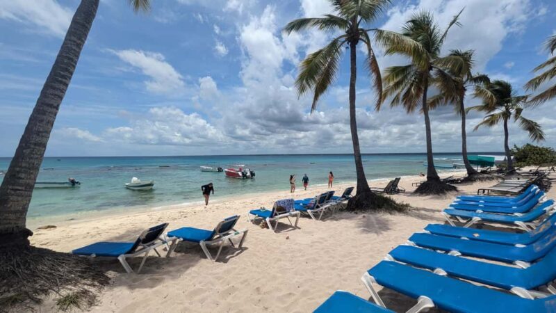 From Santo Domingo: Catalina Island Day Tour - An In-Depth Look at the Catalina Island Day Tour