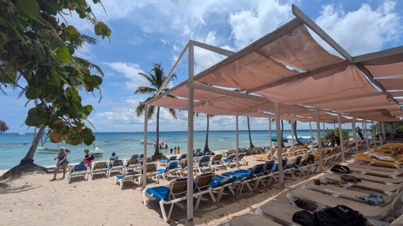 From Santo Domingo: Catalina Island Day Tour - What the Reviews Say: Highlights and Hiccups