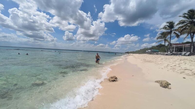 From Santo Domingo: Catalina Island Day Tour - Is This Tour Worth It?