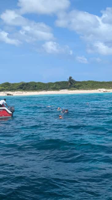 From Santo Domingo: Catalina Island Day Tour - FAQs