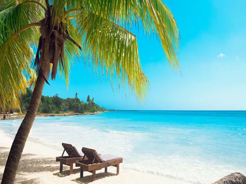 From Santo Domingo: Saona Island Day Trip with Lunch - The Cons: What You Might Want to Consider