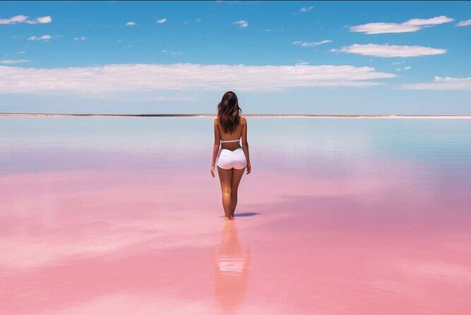 From Santo Domingo Saona Island Food And Drink Catamaran Vip - The Sum Up