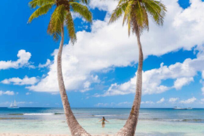 From Santo Domingo Saona Island Food And Drink Catamaran Vip - FAQs