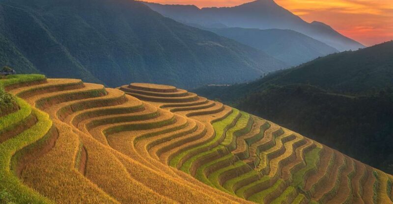 From Sapa: 1-Day Guided Trek to Lao Chai & Ta Van with Lunch - Practical Details and Why They Matter