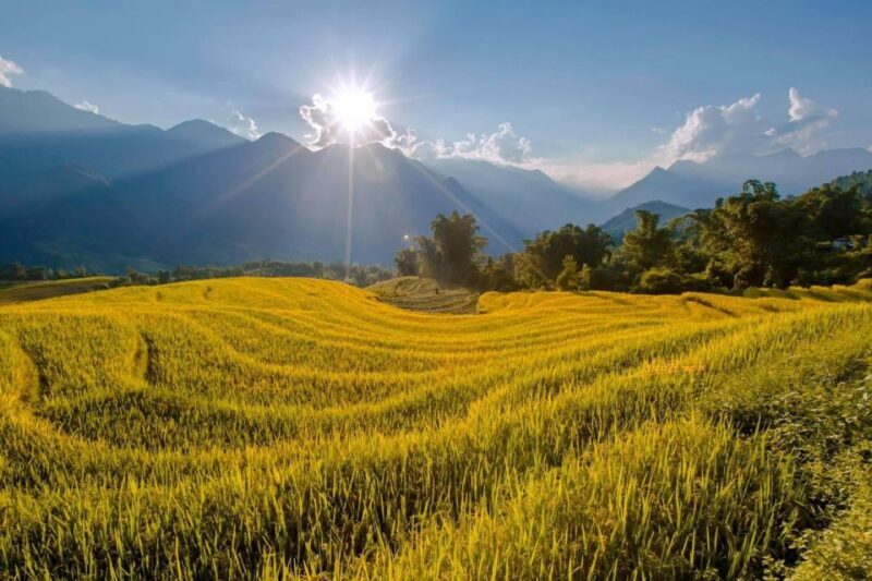 From Sapa: 1-Day Guided Trek to Lao Chai & Ta Van with Lunch - Authentic Experiences That Shine