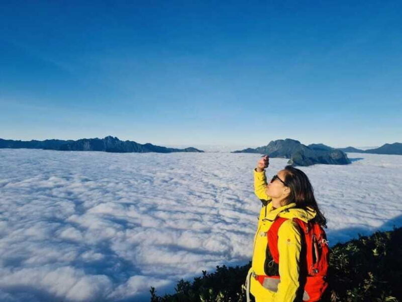 From Sapa: 2-Day Fansipan Peak Trekking Tour - Frequently Asked Questions