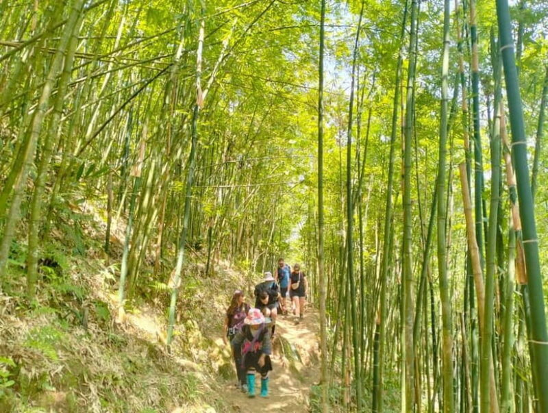 From Sapa 2-Day Sapa Trekking Trip with Homestay & Meals - Key Points