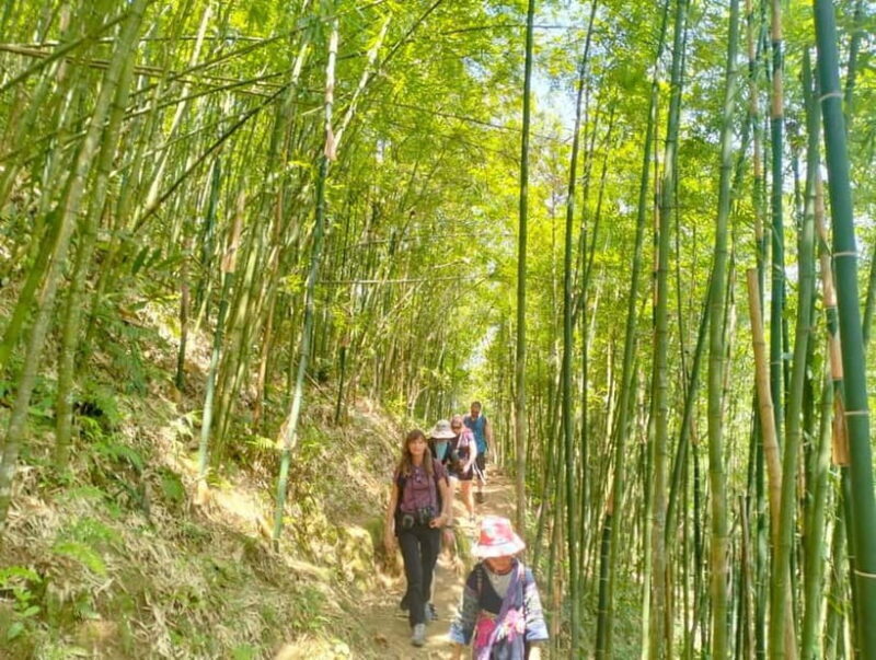 From Sapa 2-Day Sapa Trekking Trip with Homestay & Meals - Practical Tips for Travelers