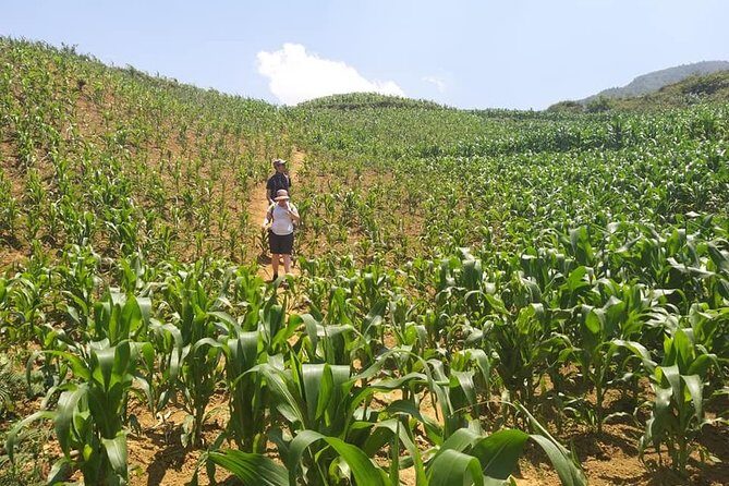 From Sapa: 2 Day Tour Through Villages and Countryside - Final Thoughts